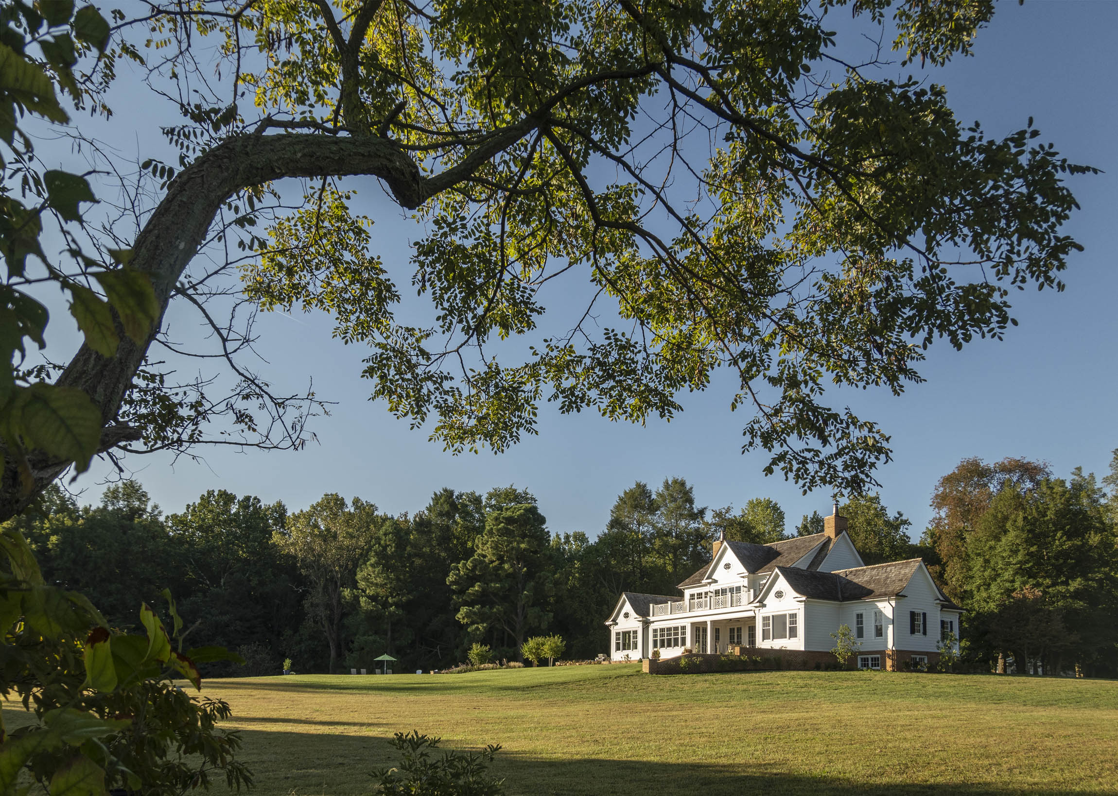 Classic Cape Cod - Purple Cherry