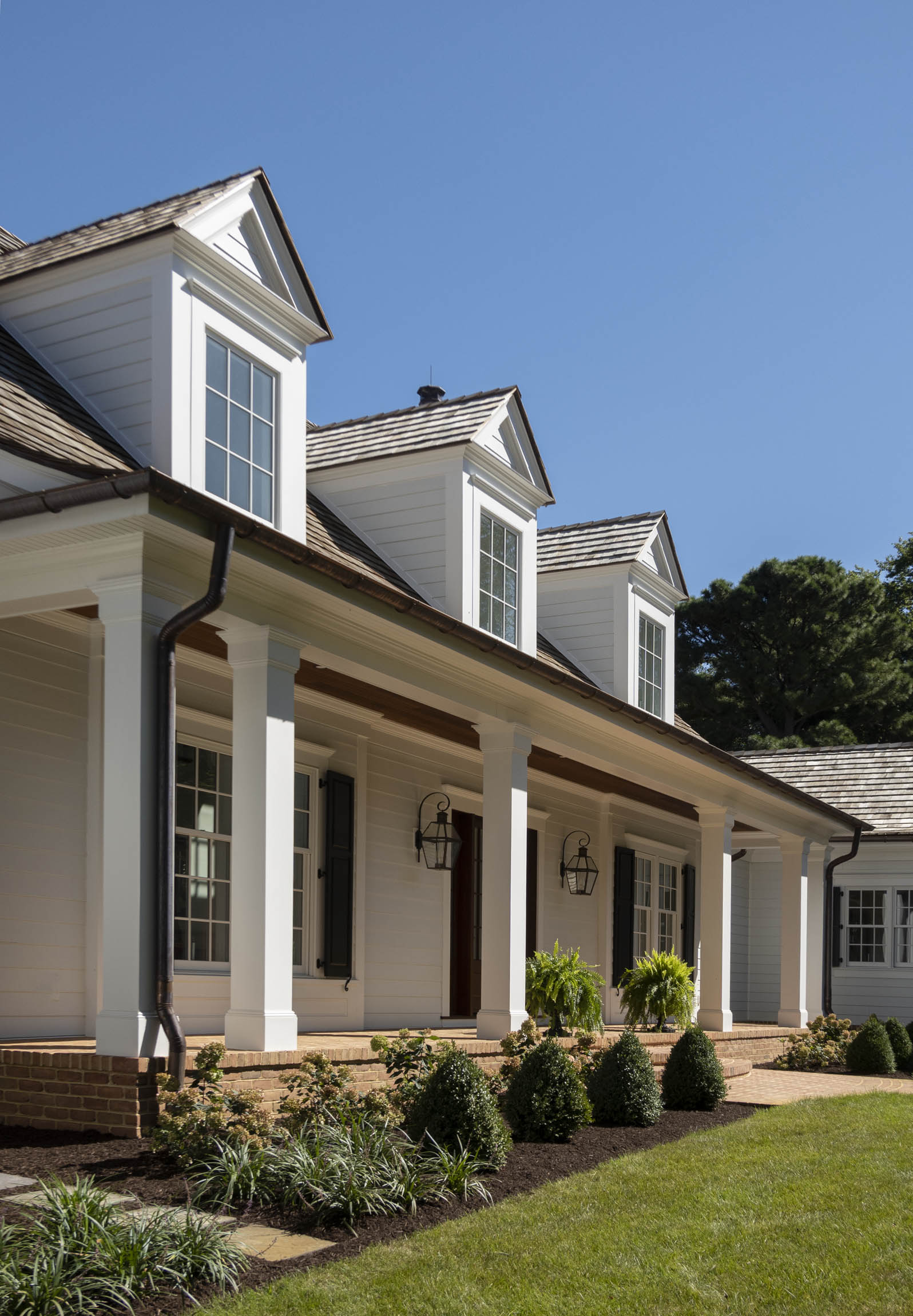 Classic Cape Cod - Purple Cherry